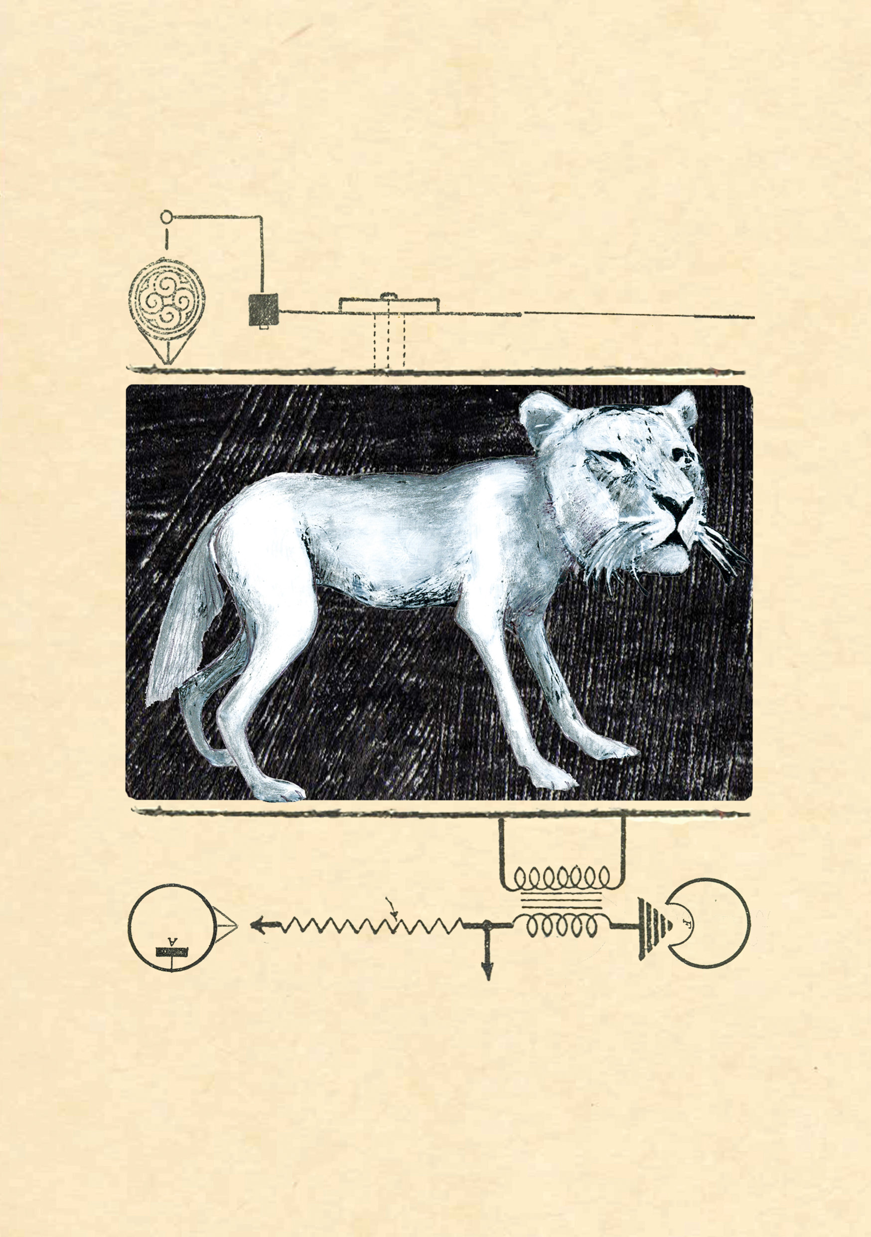 Extinction Collector – Heidi Ball @helloheidiball