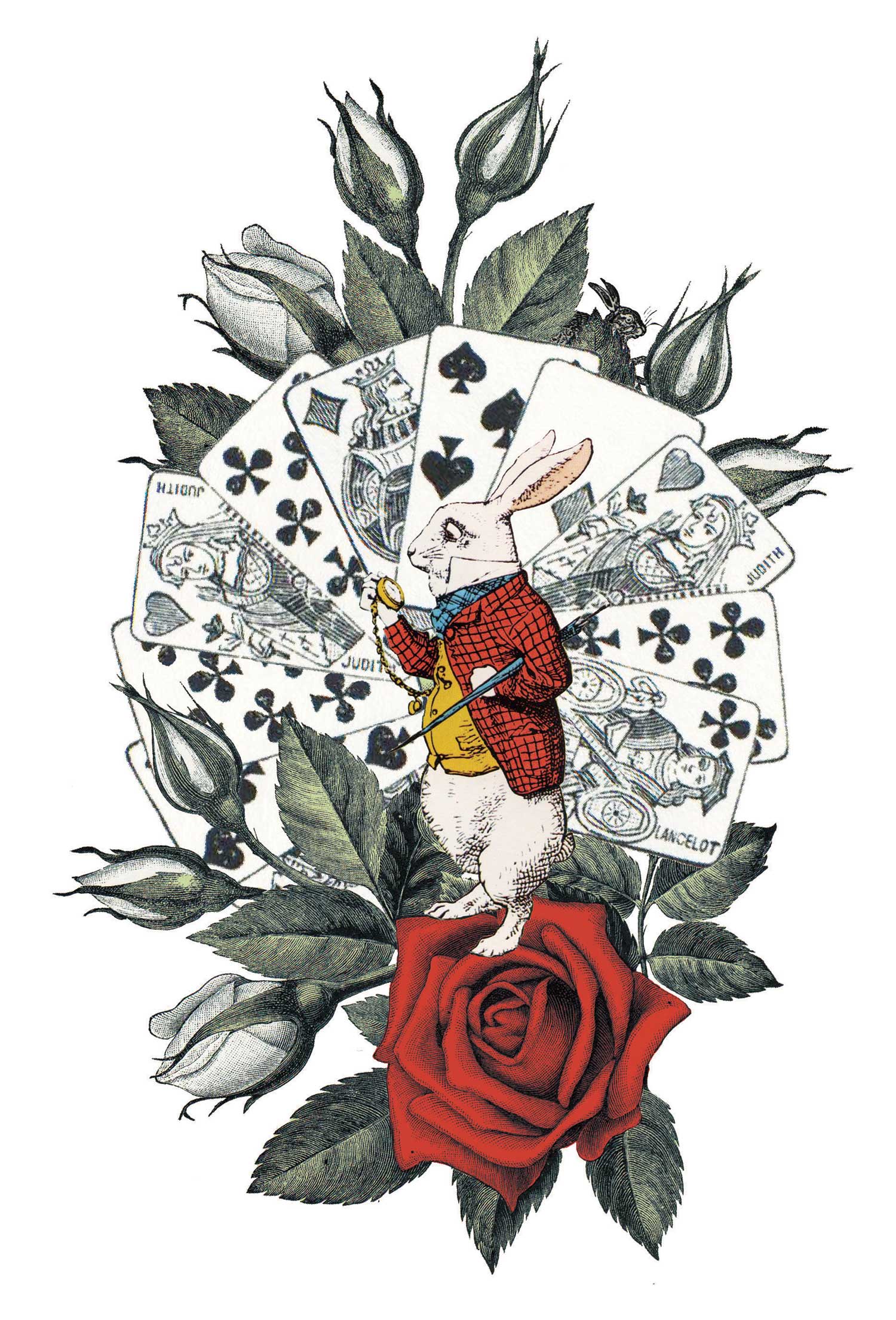 Writer & Illustrator