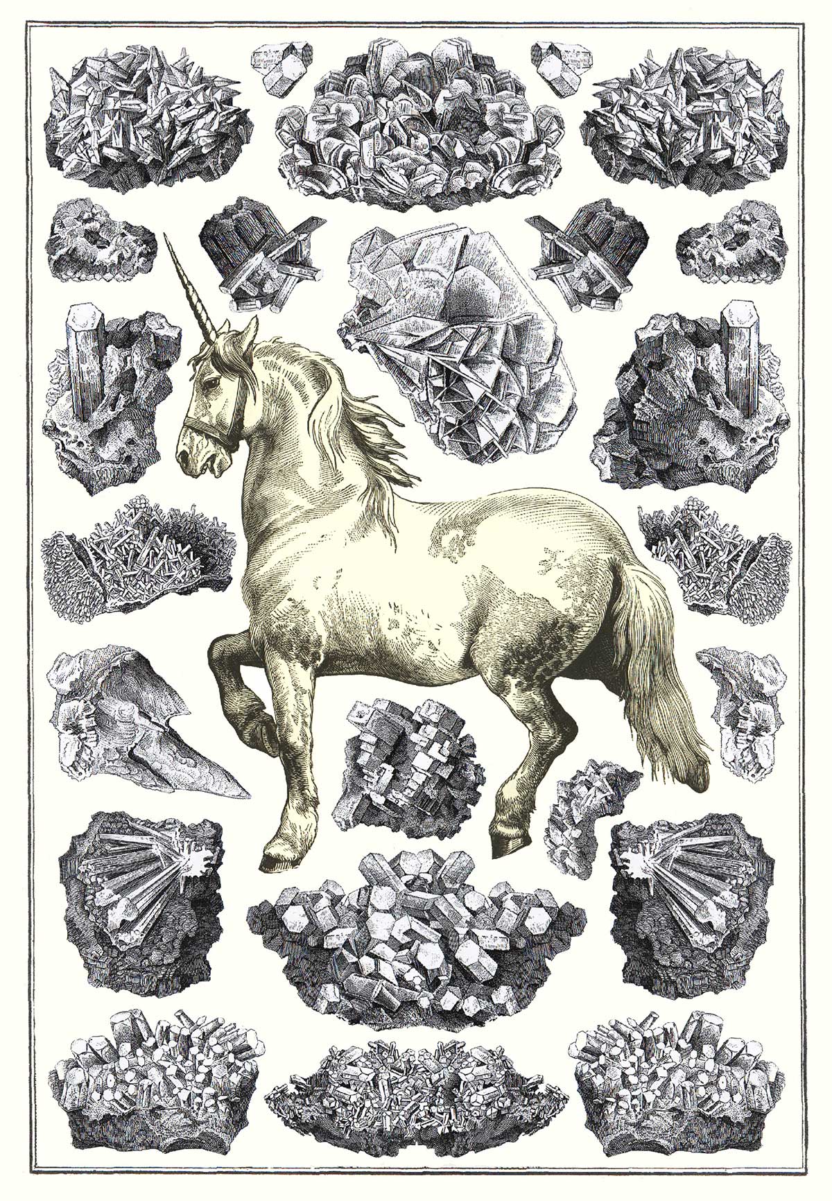 Writer & Illustrator